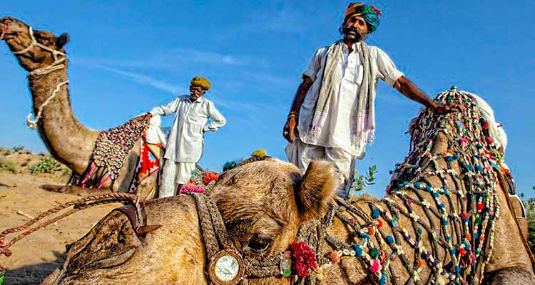 Voyage au Rajasthan | Heritage Rajasthan